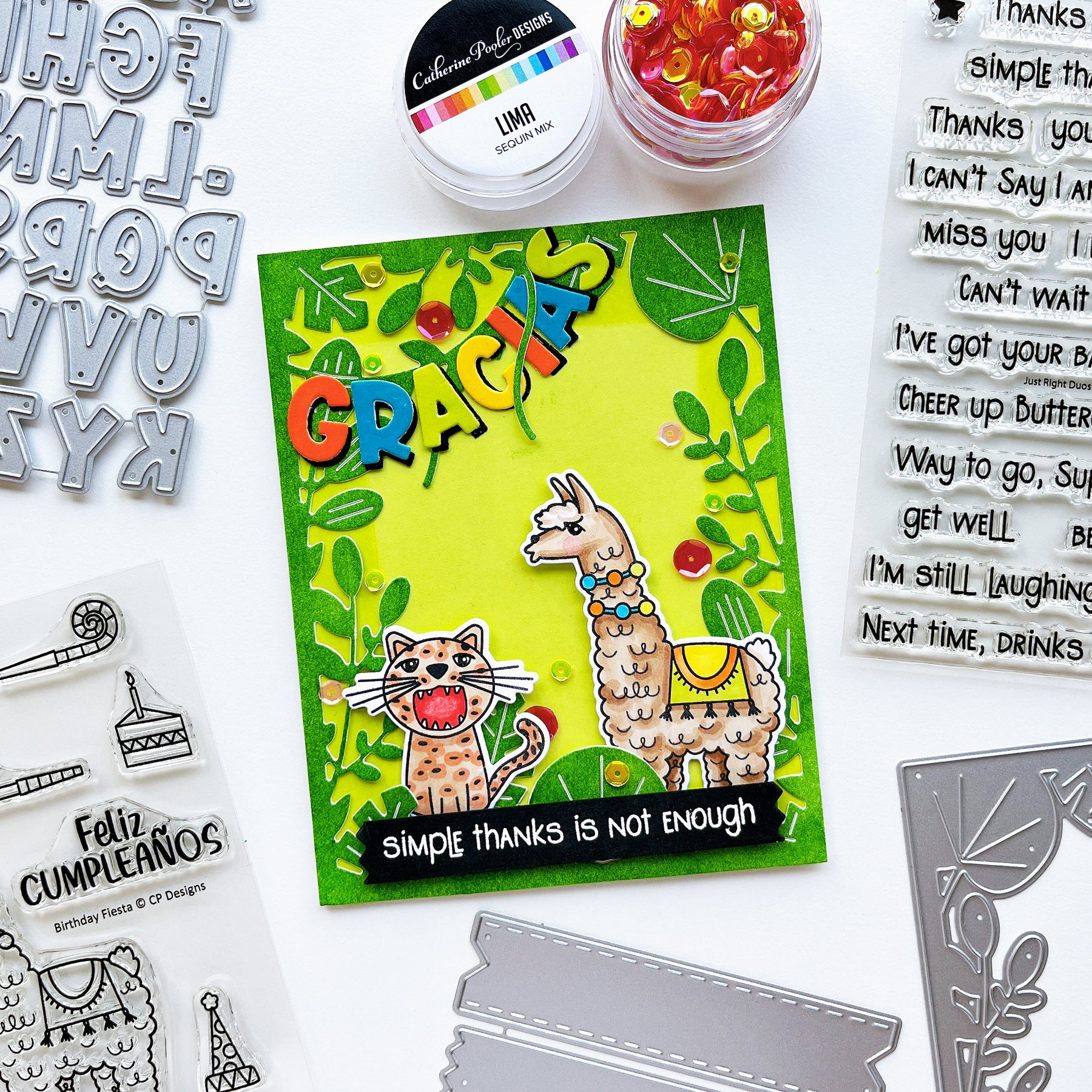 Birthday Fiesta Stamp Set – Catherine Pooler Designs